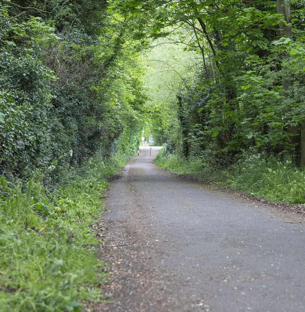 Public engagement launched on Greenways routes